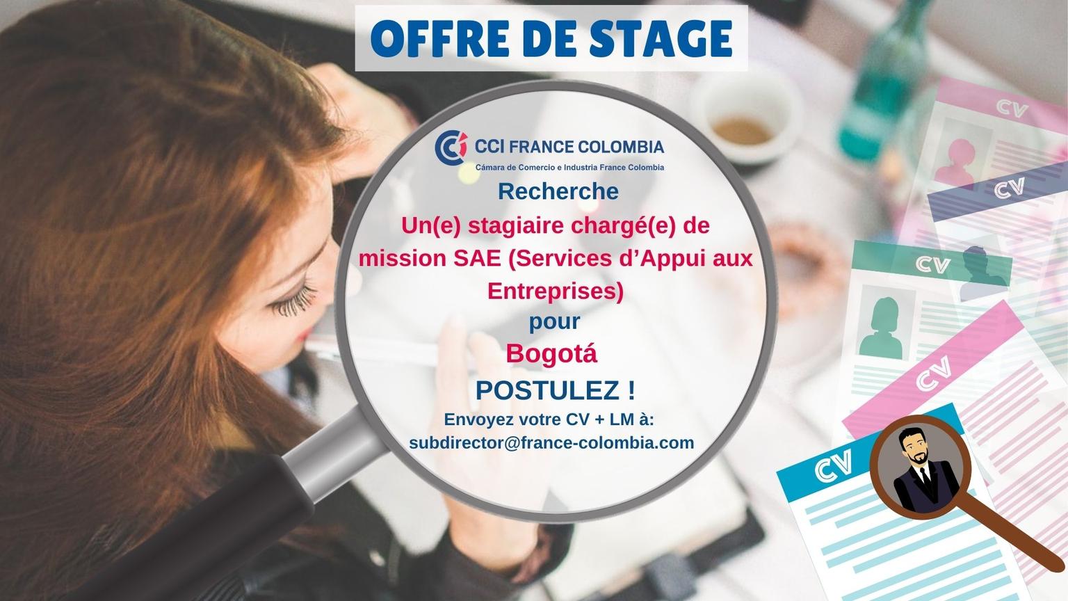 Offres d'emploi ou stage | CCI France Colombie